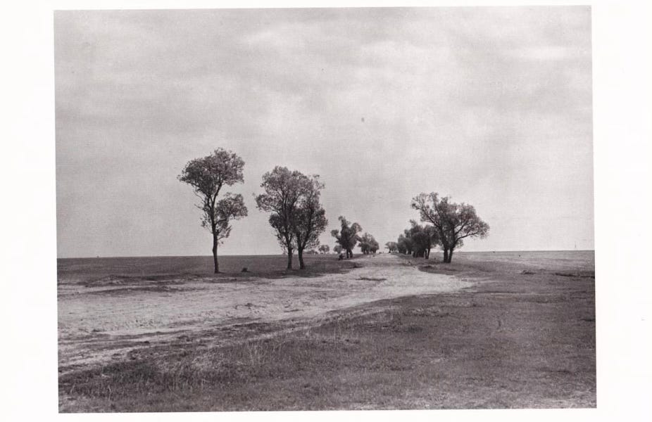 Politics of remembrance and forgetting - by Maria Sorensen