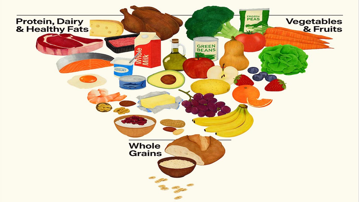 New Food Pyramid Unveiled - RocaNews