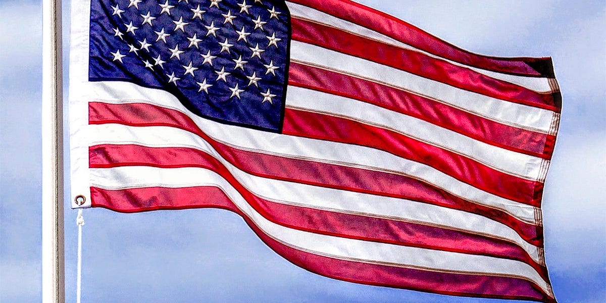 THE AMERICAN FLAG CANNOT REPRESENT AN AUTHORITARIAN DICTATORSHIP ...