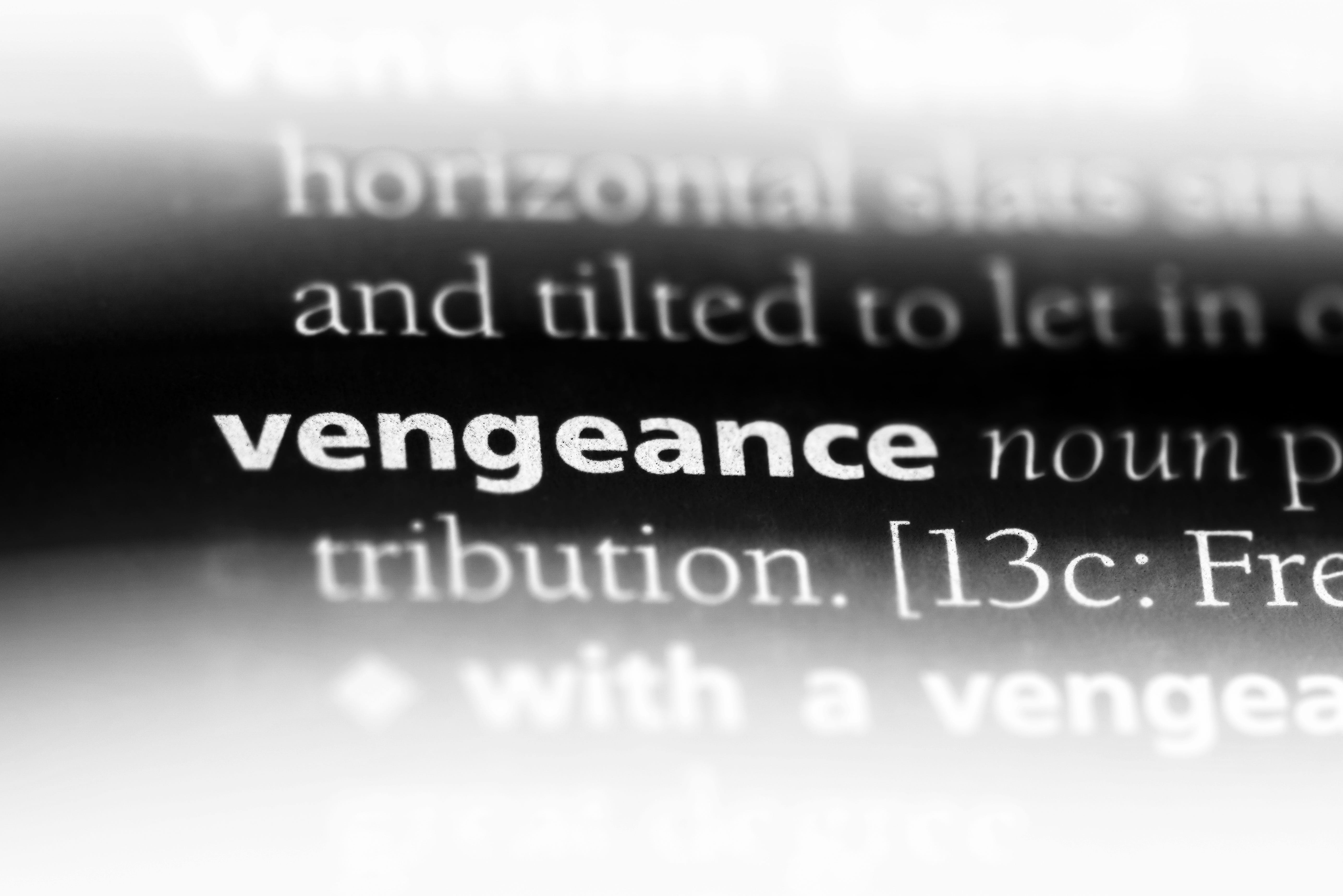 Vengeance Is Not Your Job - by Danny Iny