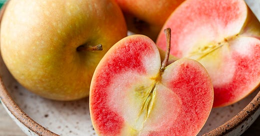 Daniela Weiner | Substack