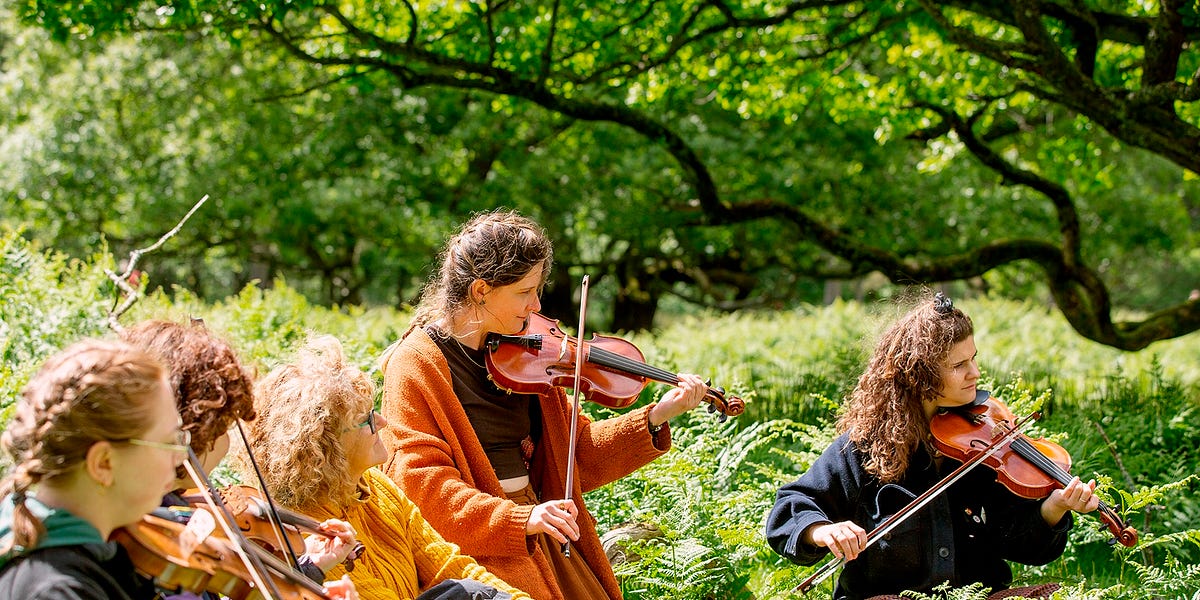 What is a Fiddle? - by Emma Hardy - Violin Making & More