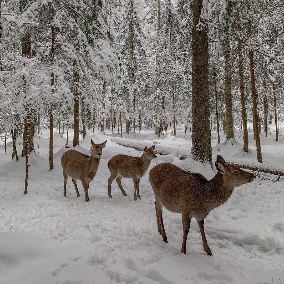 31 Journal Prompts for December : Endings and New beginnings