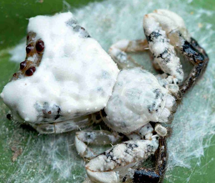 ️ Les 7 Bonnes Nouvelles du Jeudi 15 Janvier 2026