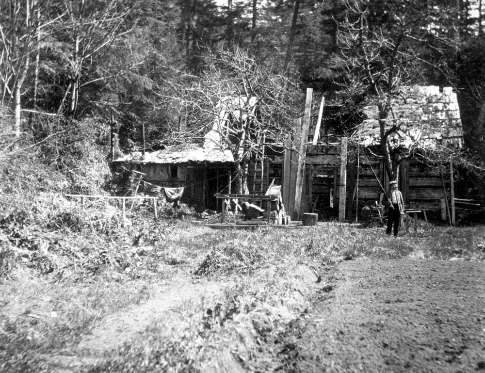 Leechtown - by Sue Harper - WestShore Memories