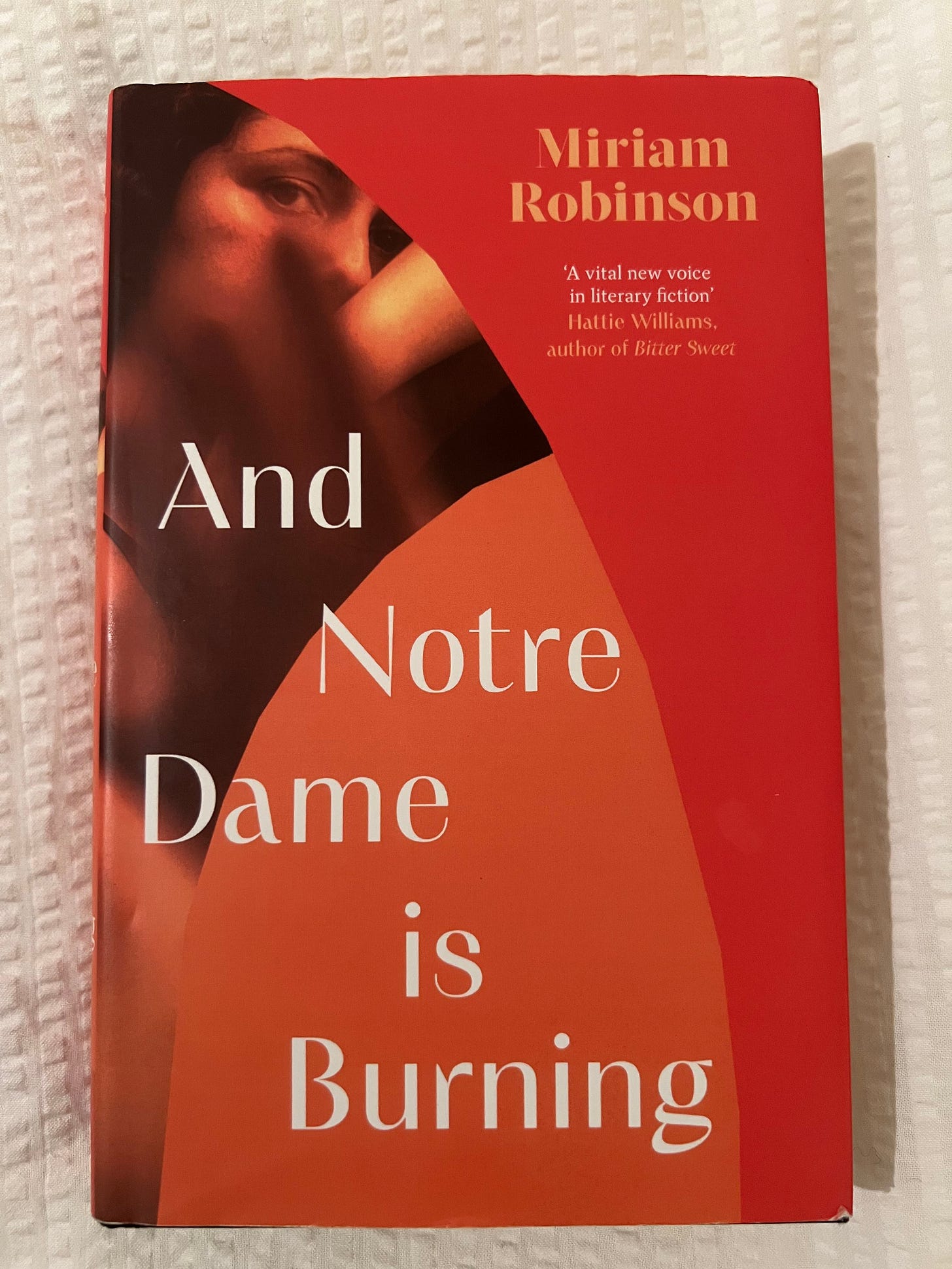 Review of And Notre Dame is Burning by Mariam Robinson