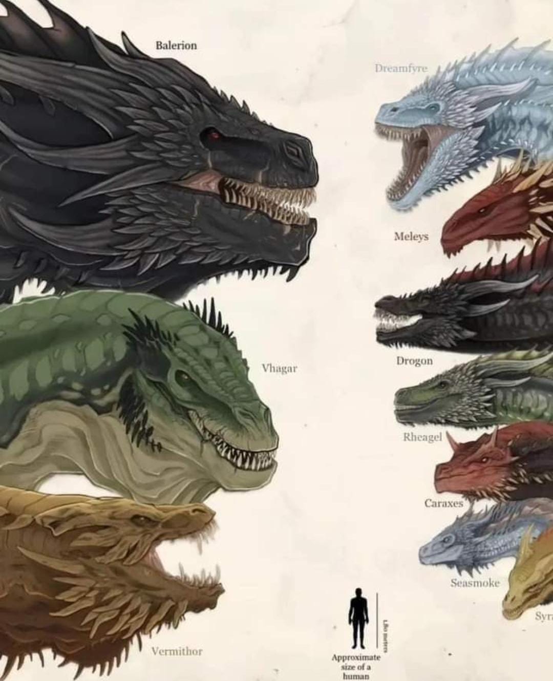 The History and Names of Every Known Dragon in Westeros