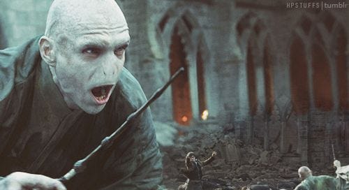 Adrian Vermeule | Substack