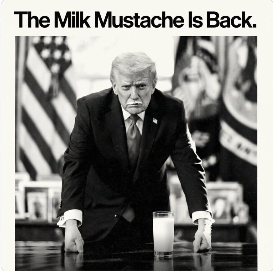 Moustache Man Trump, Milk Propaganda, & The War on Museums
