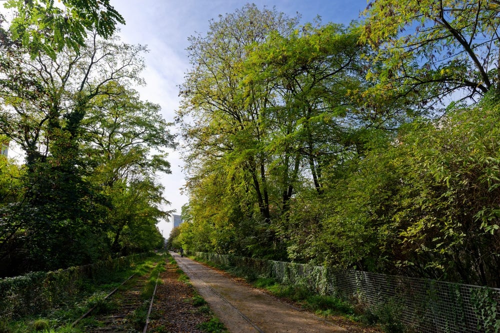 The Hidden Railway Loop of Paris - by Globetrottingwithp