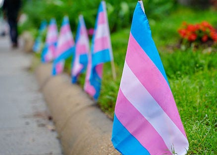 Are Candidates’ Views on Transgender Policies Unduly Influencing the ...
