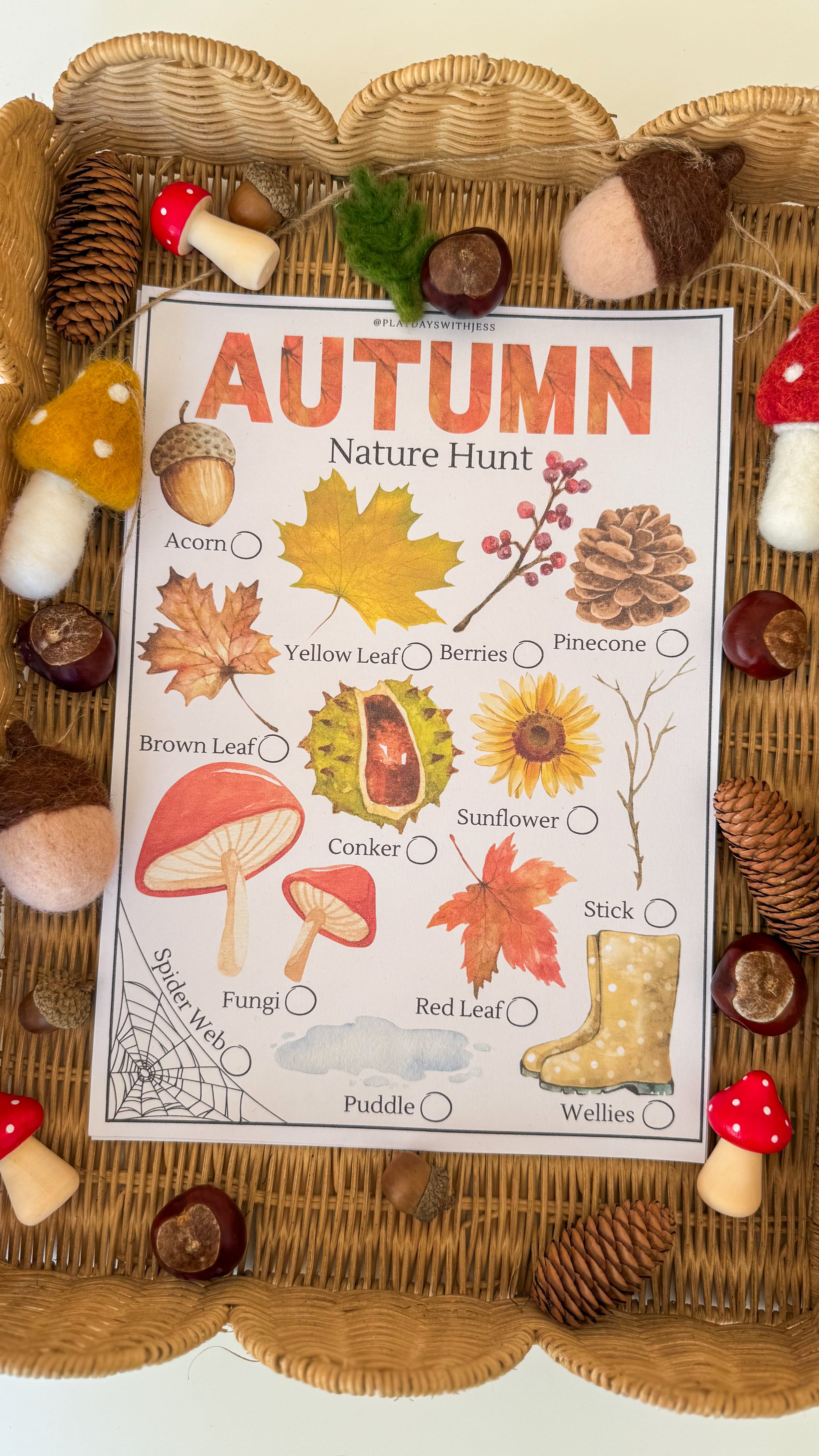 Free Autumn Nature Hunt and Autumn Checklist