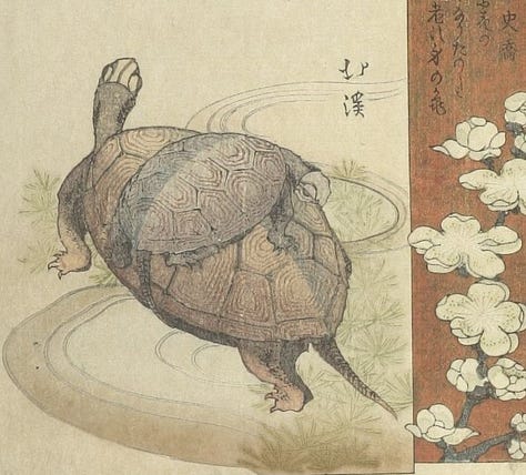 Turtles in Japanese Folklore and Culture
