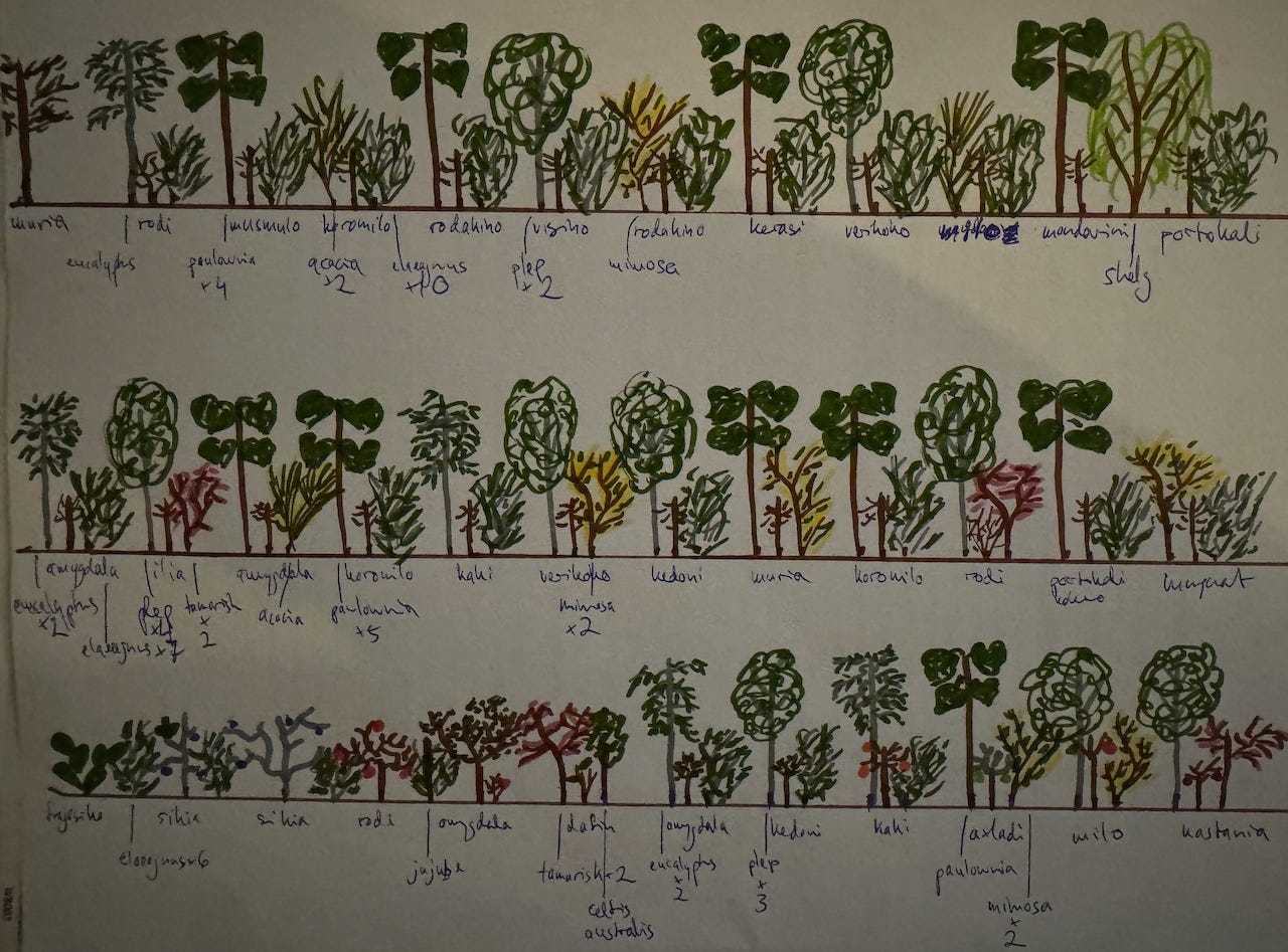 Food forest design - by Judith Degen