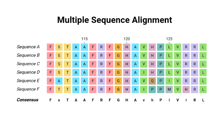 An Opinionated AlphaFold3 Field Guide - Dimension Research