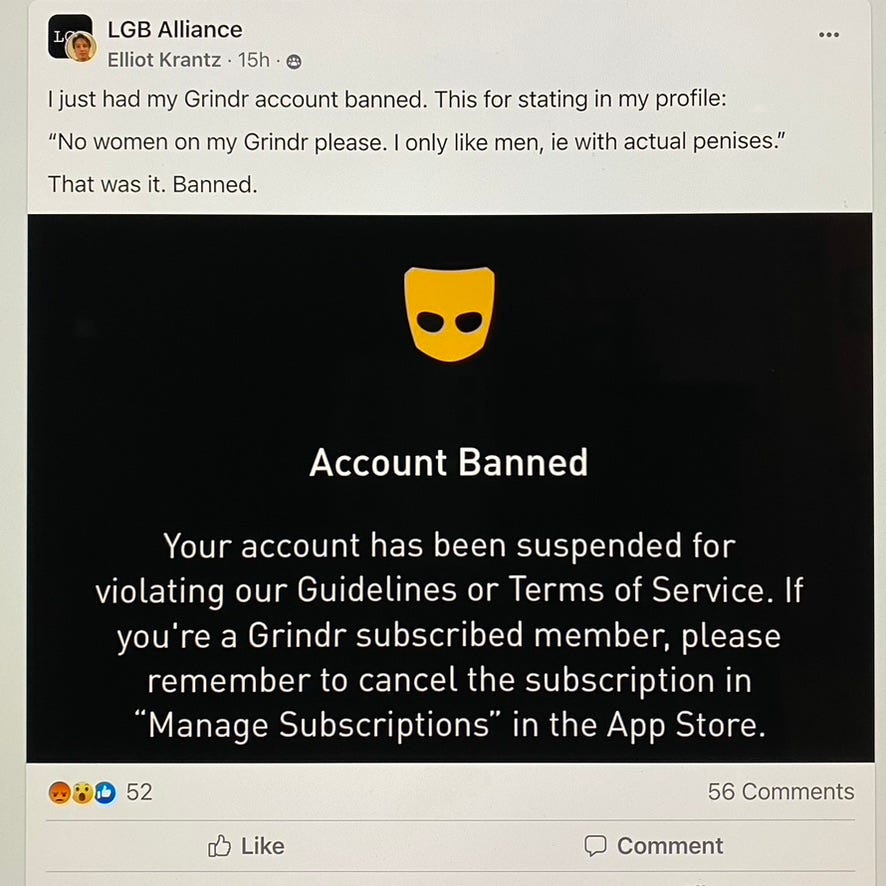 You Are Not Allowed To Be Gay Anymore - by Gary Lucia
