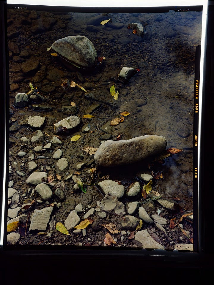 provia velvia difference