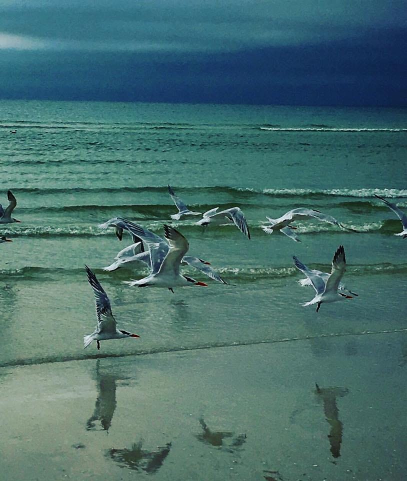 Existential Health Micro-Essay: Ecological Embeddedness