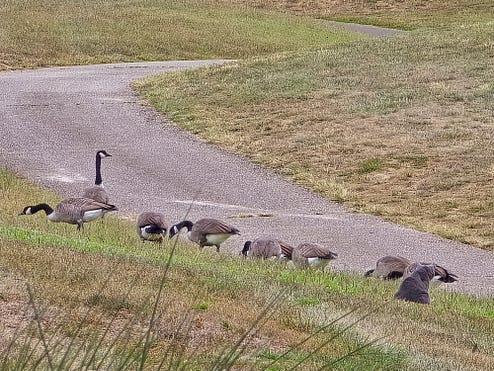 Robin Motzer | Substack