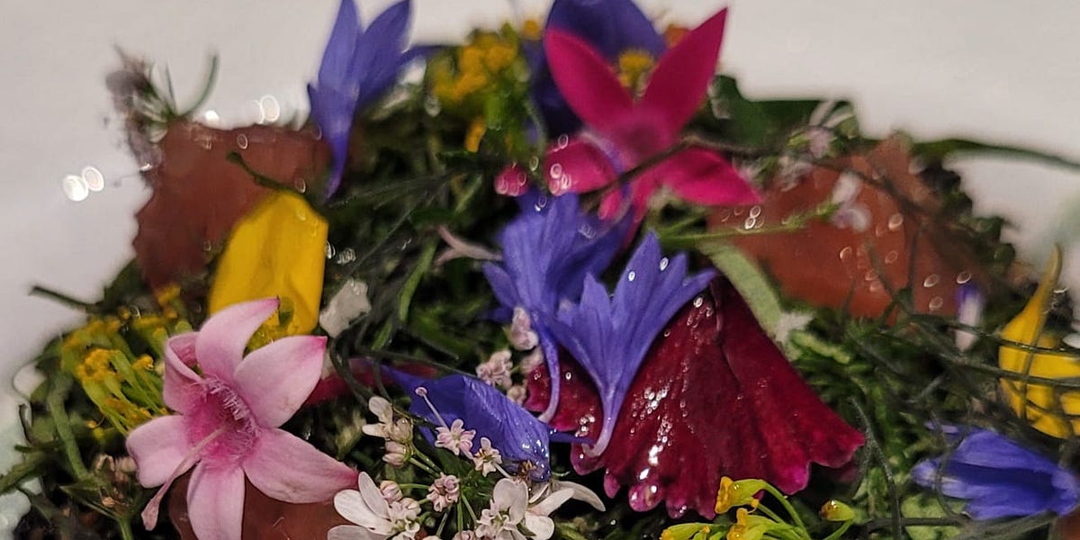 Randonnée sur le sentier Prairial - Tom’s Substack