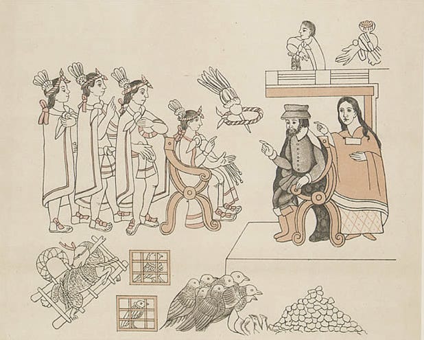 Aztec Mexico’s forgotten epidemic - by Ming Yang