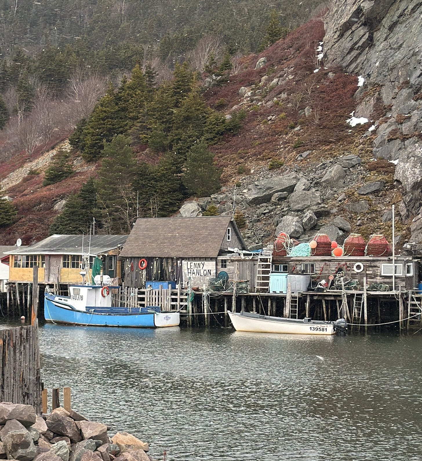 Is it a Sandwich or a Burger? Stuffed Portobello Mushrooms with Lentils ...