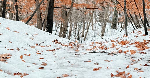 Betsy Maloney (@rootsandvines): "I left a cache of bubble gum flavored ...
