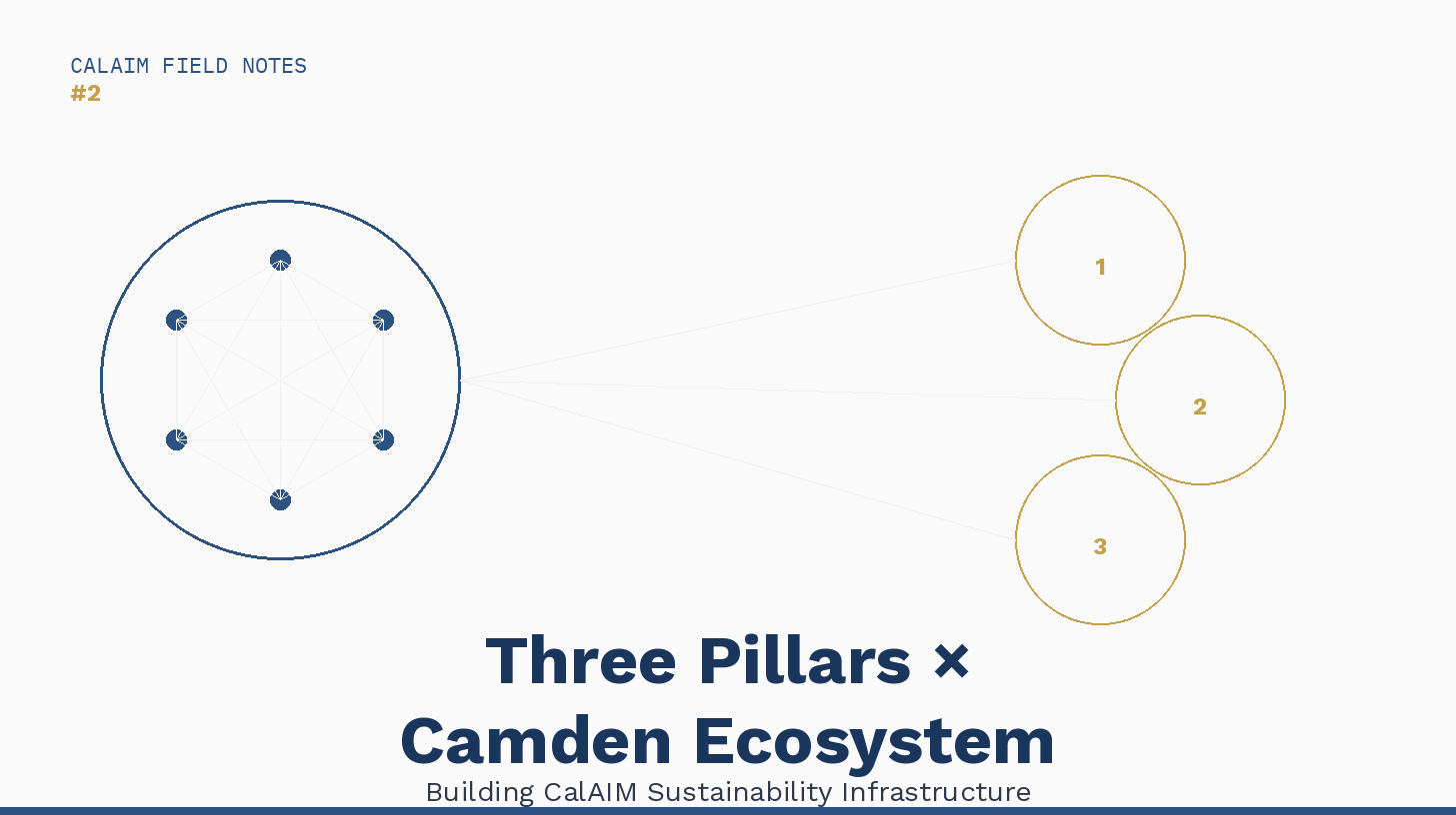 No. 04 | How DHCS's Three Pillars + the Camden Ecosystem Model Create ...