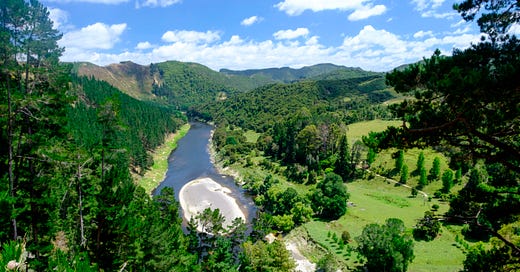 The Bulwark | Substack