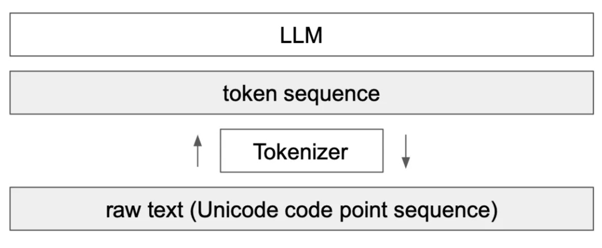 The necessary (and neglected) evil of Large Language Models: Tokenization