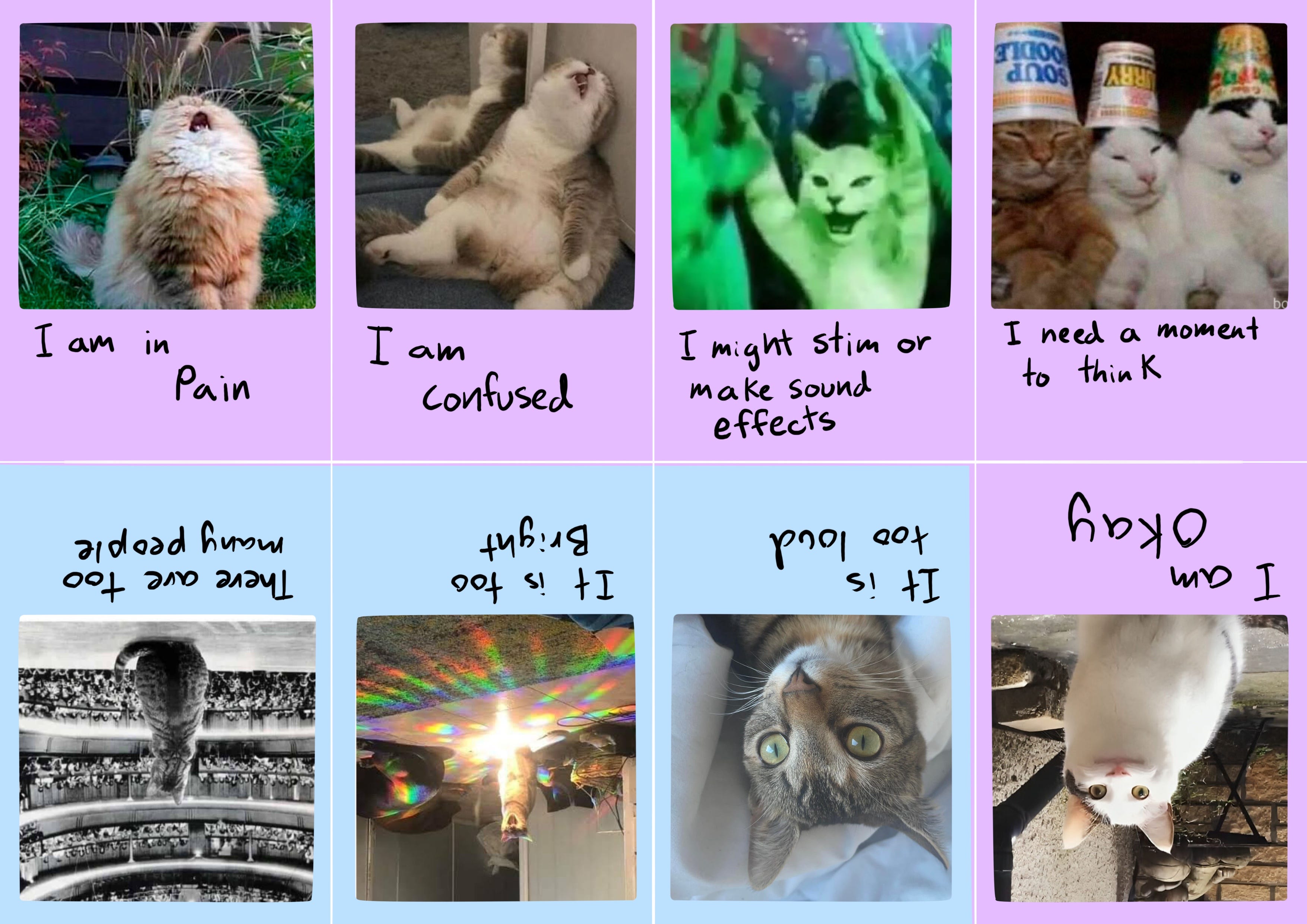Making Communication cards
