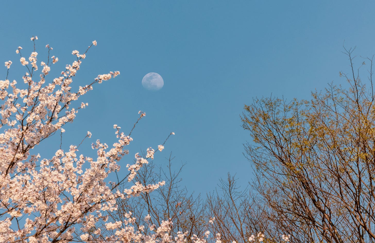 The Old Germanic Lunar Months - by Elissa - Our Merry Folk