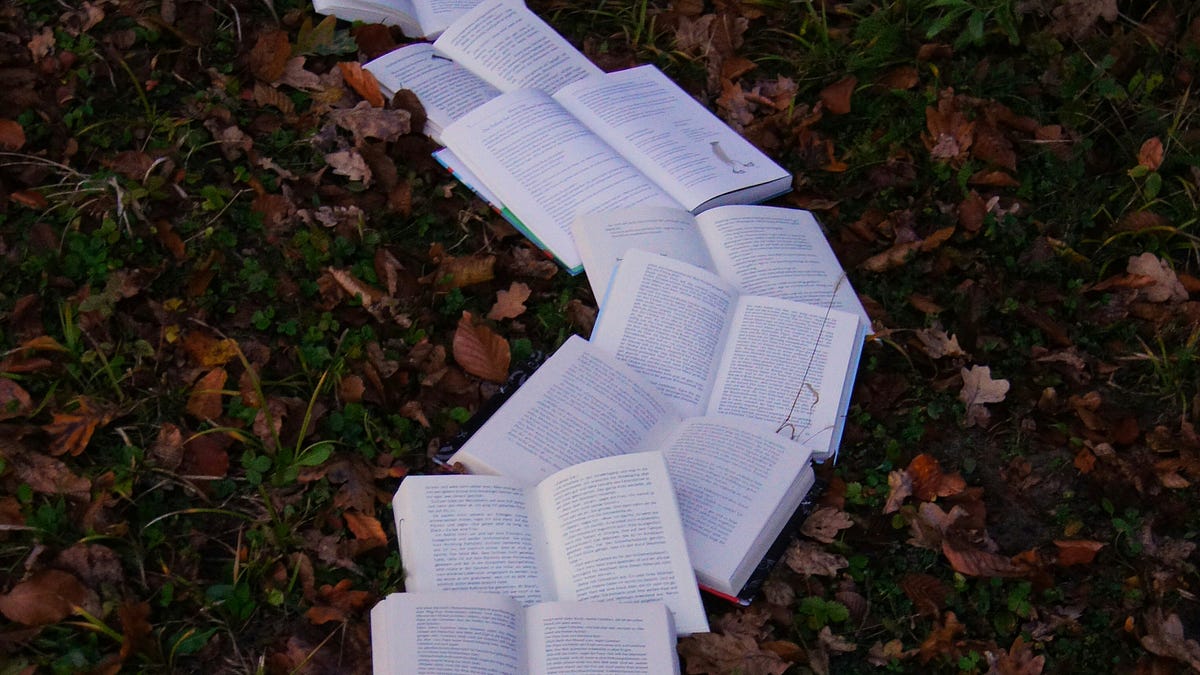 Seven Deadly Sins of Prose-Writing: (And How to Write More Heavenly ...