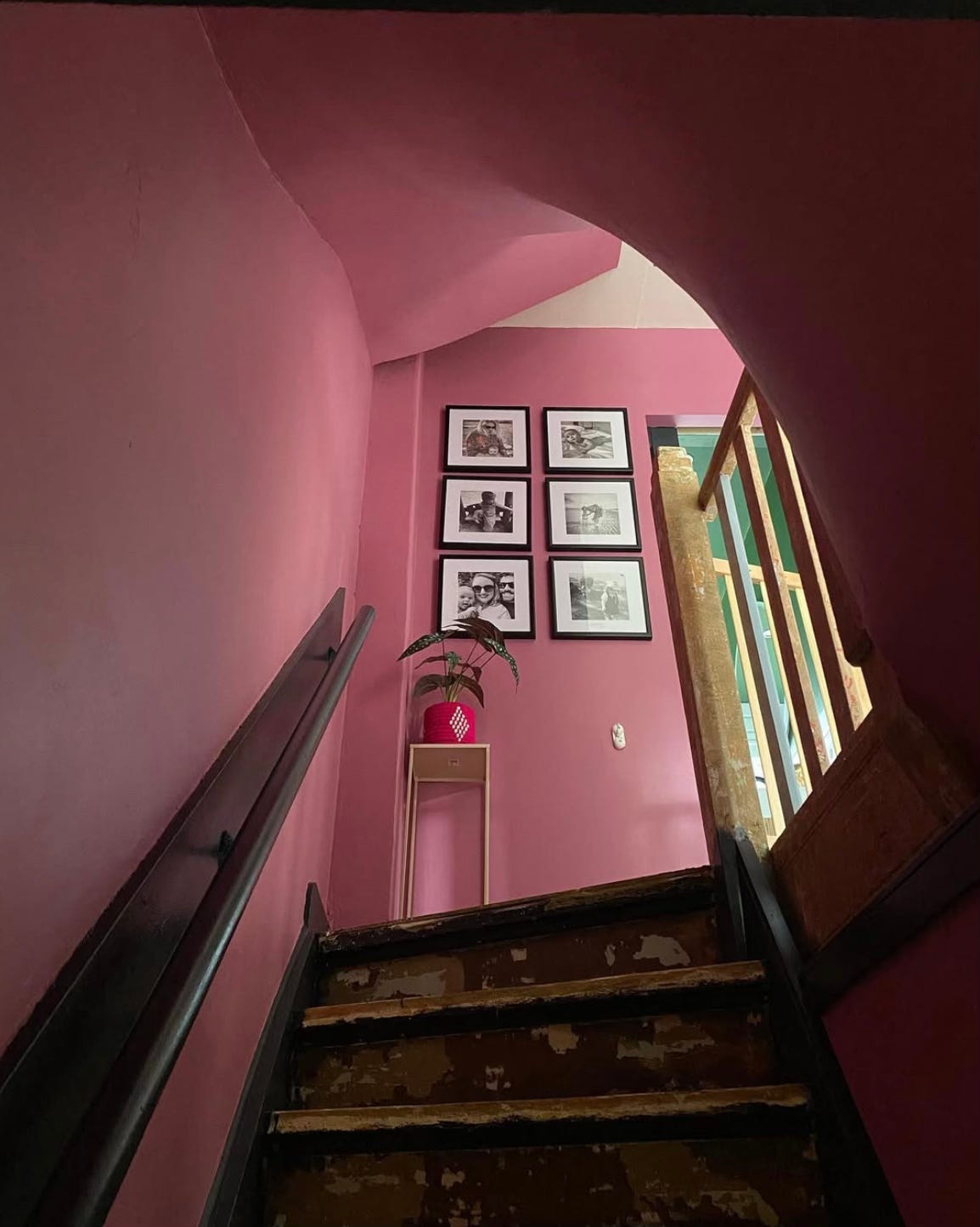 the most Adventurous Pink - by Rachel LaBour