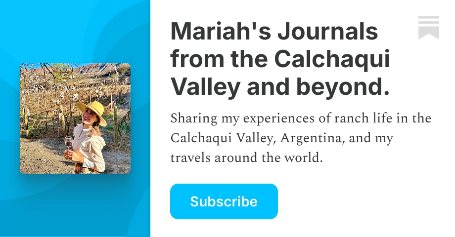 Mariah's Journals from the Calchaqui Valley and beyond. | Mariah Bonner | Substack