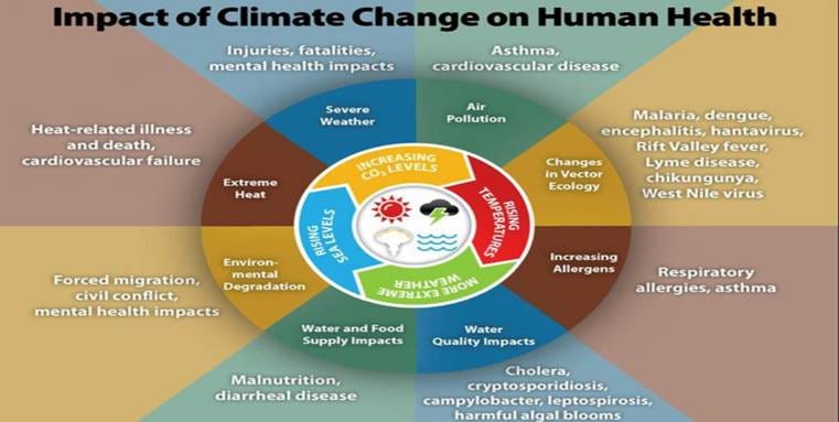 A Policy Perspective on Climate Change, Health, and Health Systems
