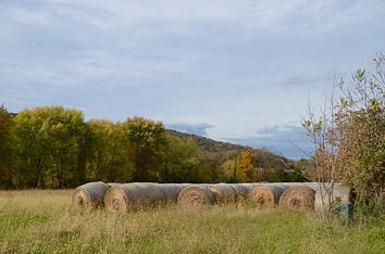 John Flannery | Substack