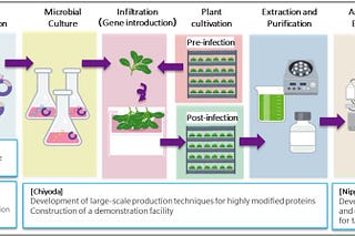 Exponential Industry | David Rogers | Substack