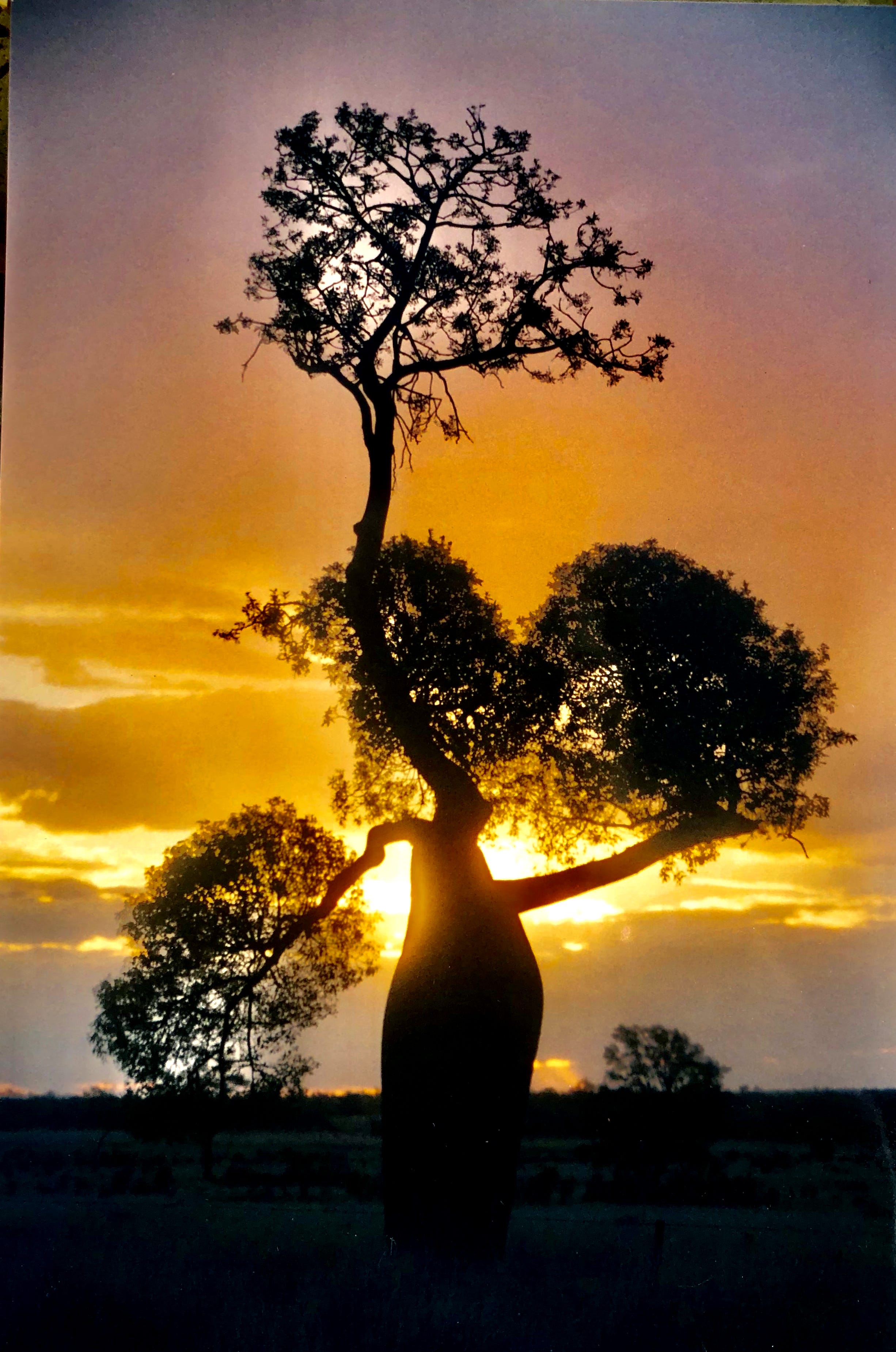 Be Inspired - this is AUSTRALIA - by Bob Neville