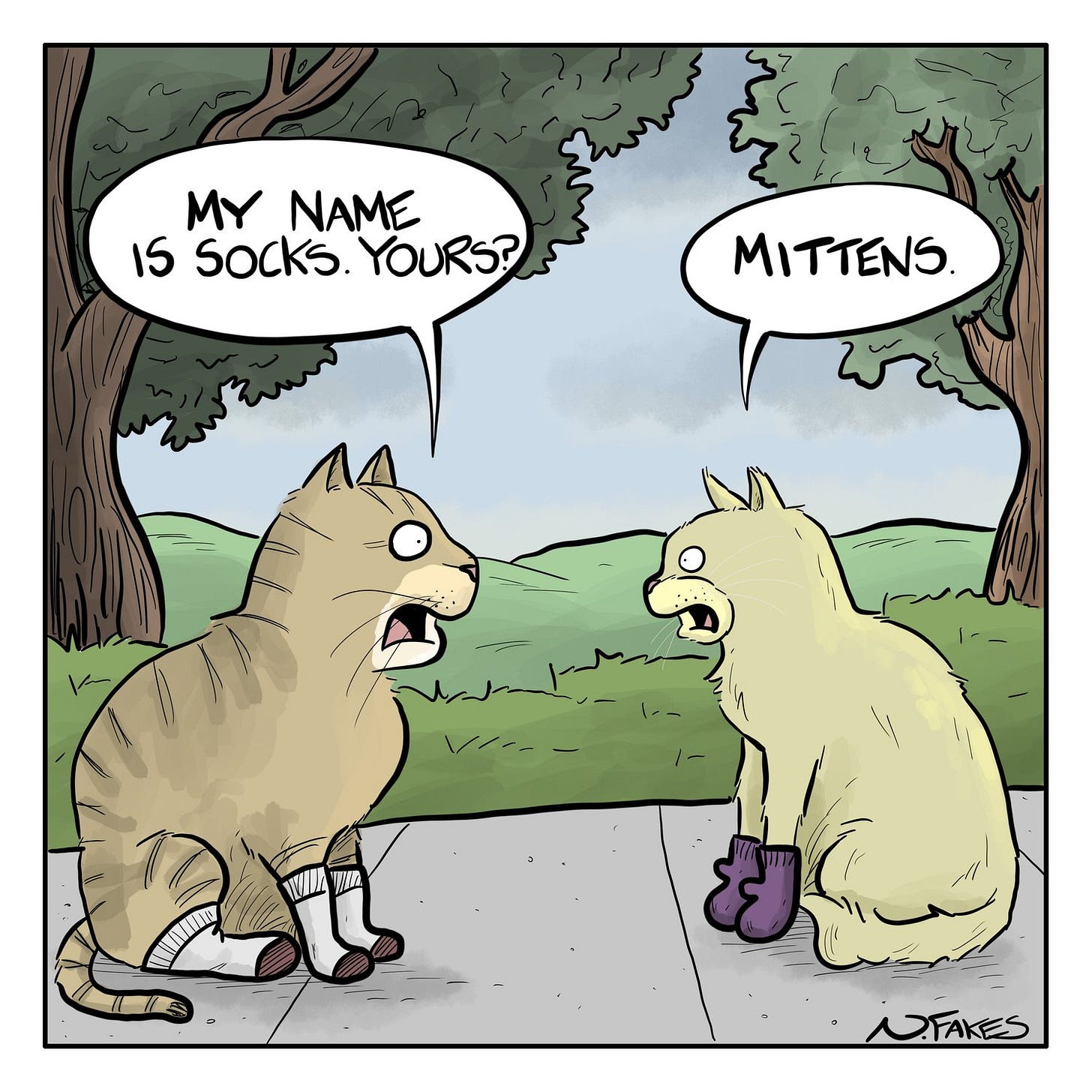 What's Your Name? - by Nate Fakes - Fakes Files