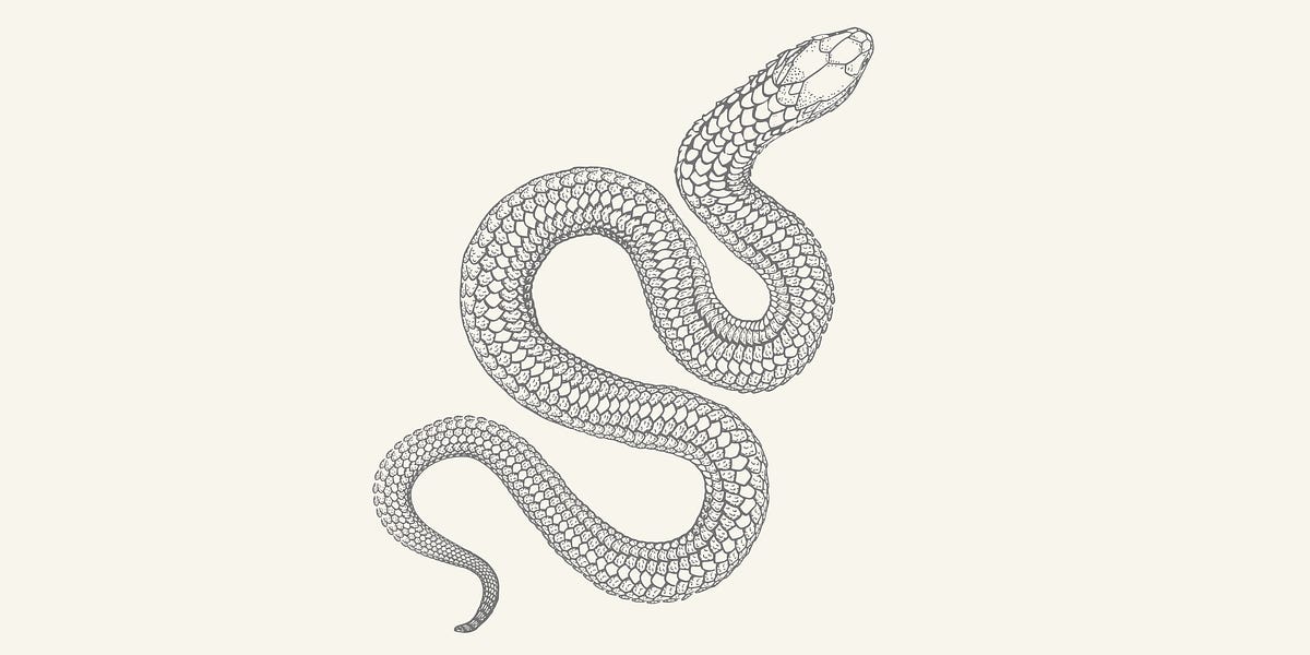 Snake Spirit Animal: What It Means If You See Snakes