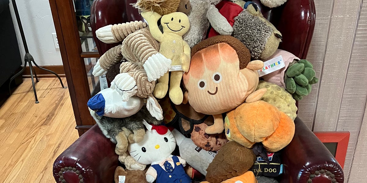 Foresee the Future with The Secret Language of Dog Toys