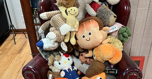 Still looking for the Joke | Merrill Markoe | Substack