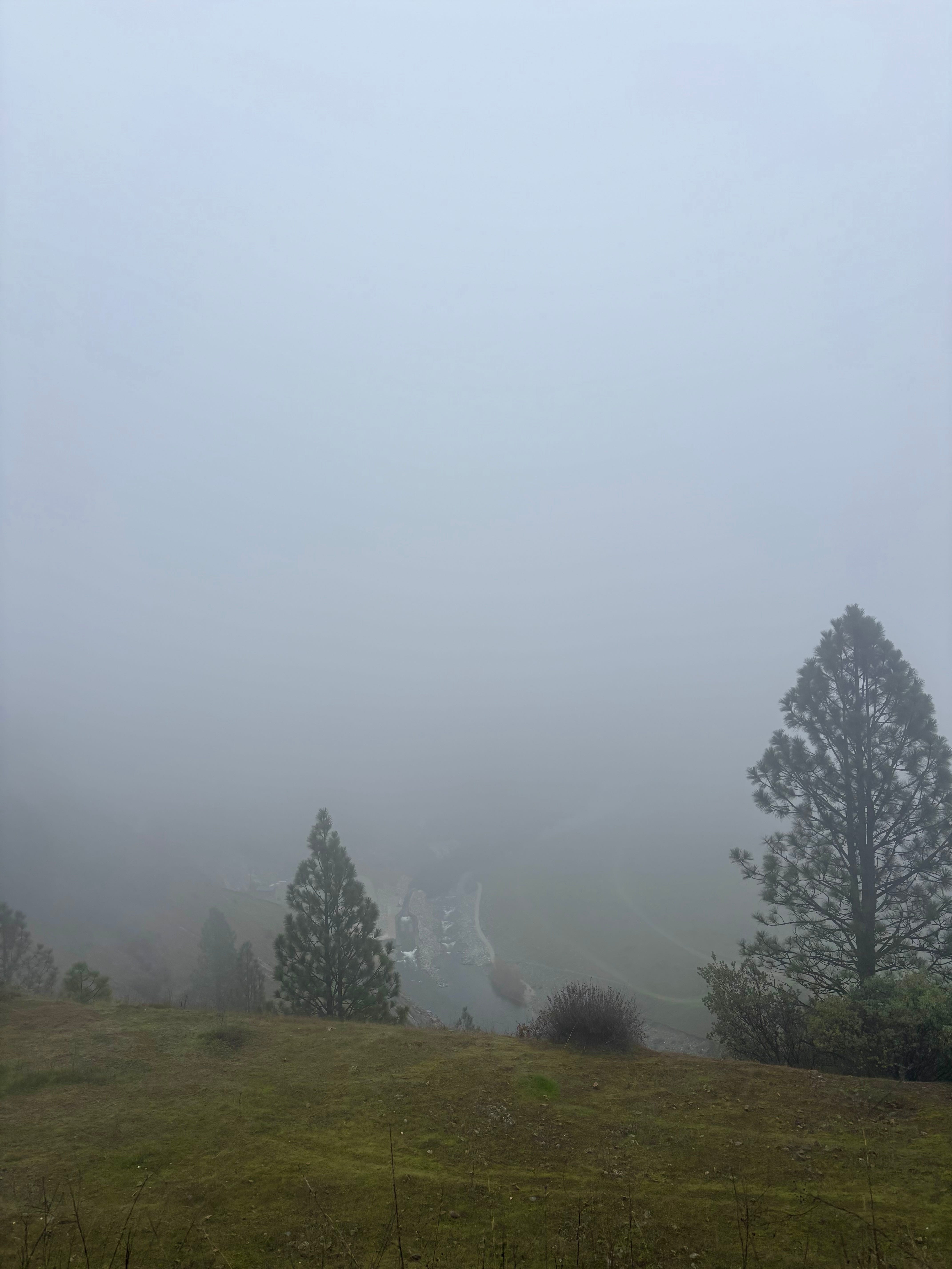 Snow Globe Life - by Lisa Thibodeau - Calendula Magazine