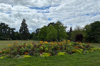 Liminal with Jennifer Steil | Substack