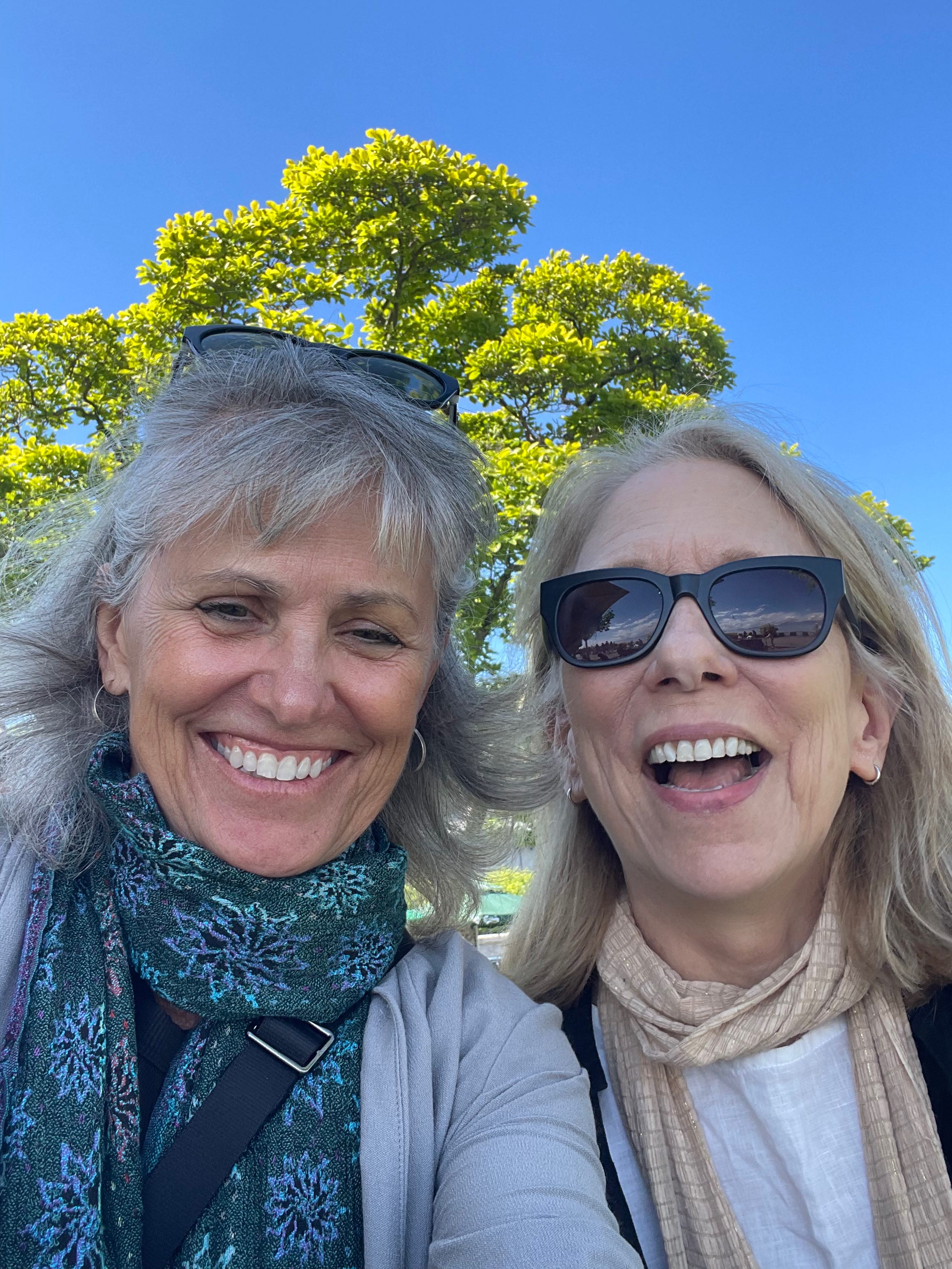 Exhibit Walk-Thru With Editorial Cartoonist Ann Telnaes in Switzerland!