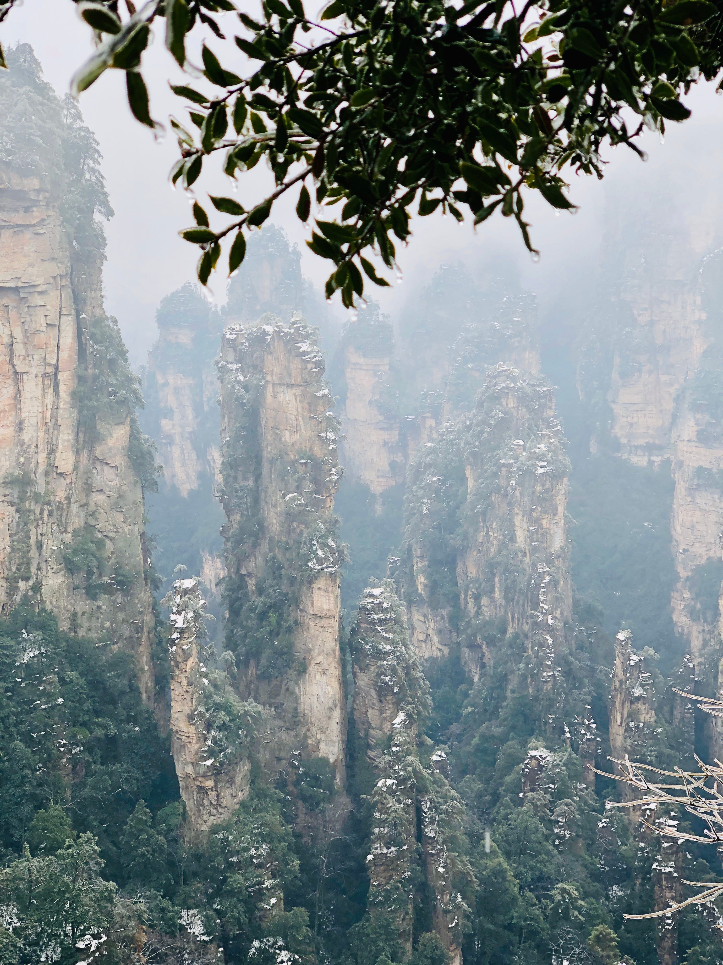 Solo Travel to Zhangjiajie: China’s Avatar Mountains Guide