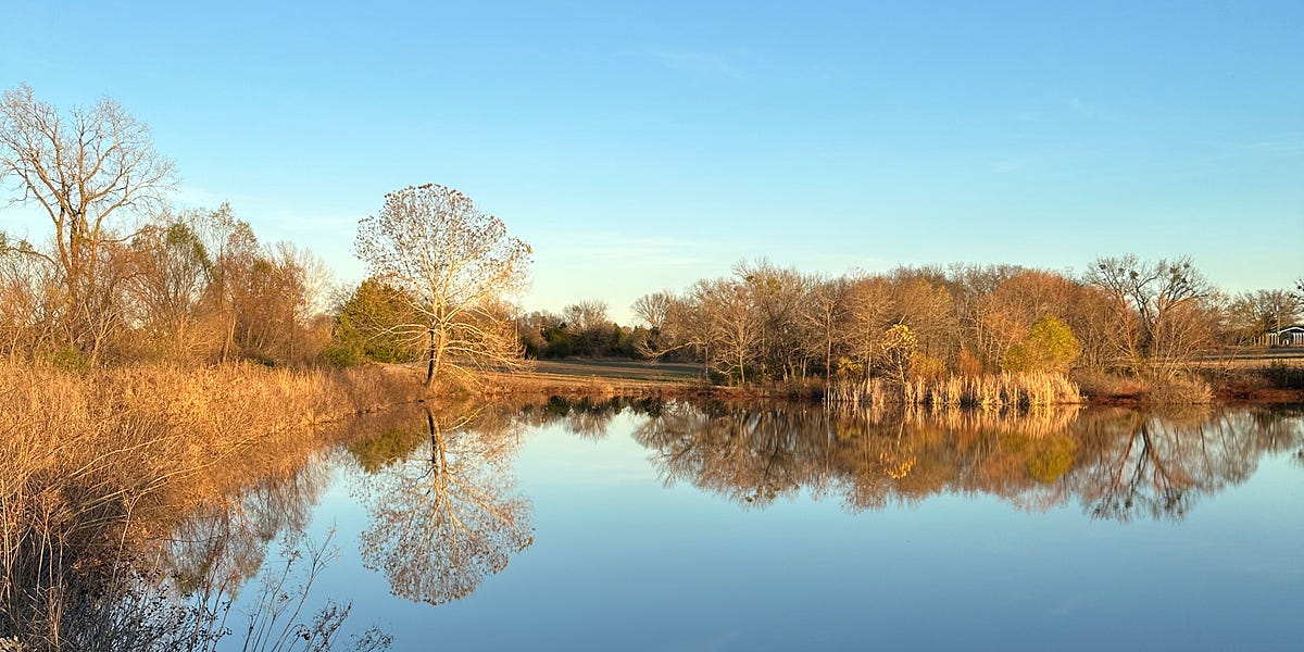 22 questions for the end of the year - by Zach Winters