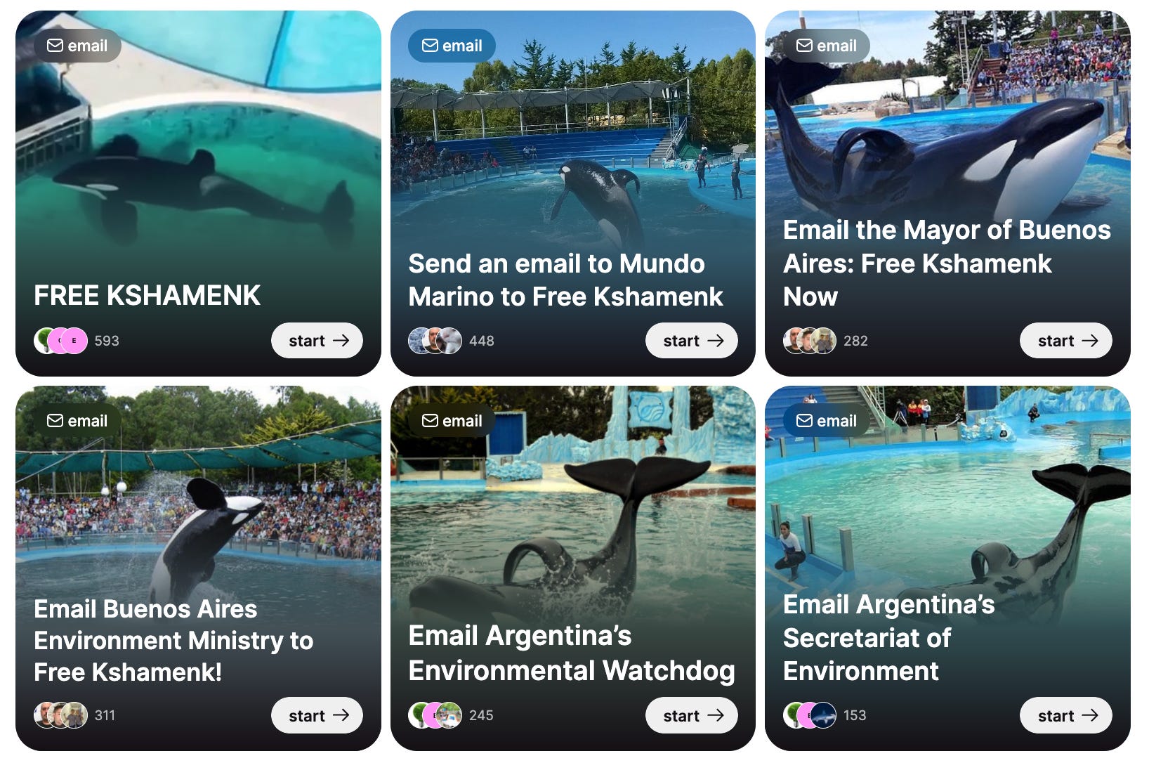 Free Kshamenk,the world's loneliest orca