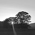 David Whyte | Substack